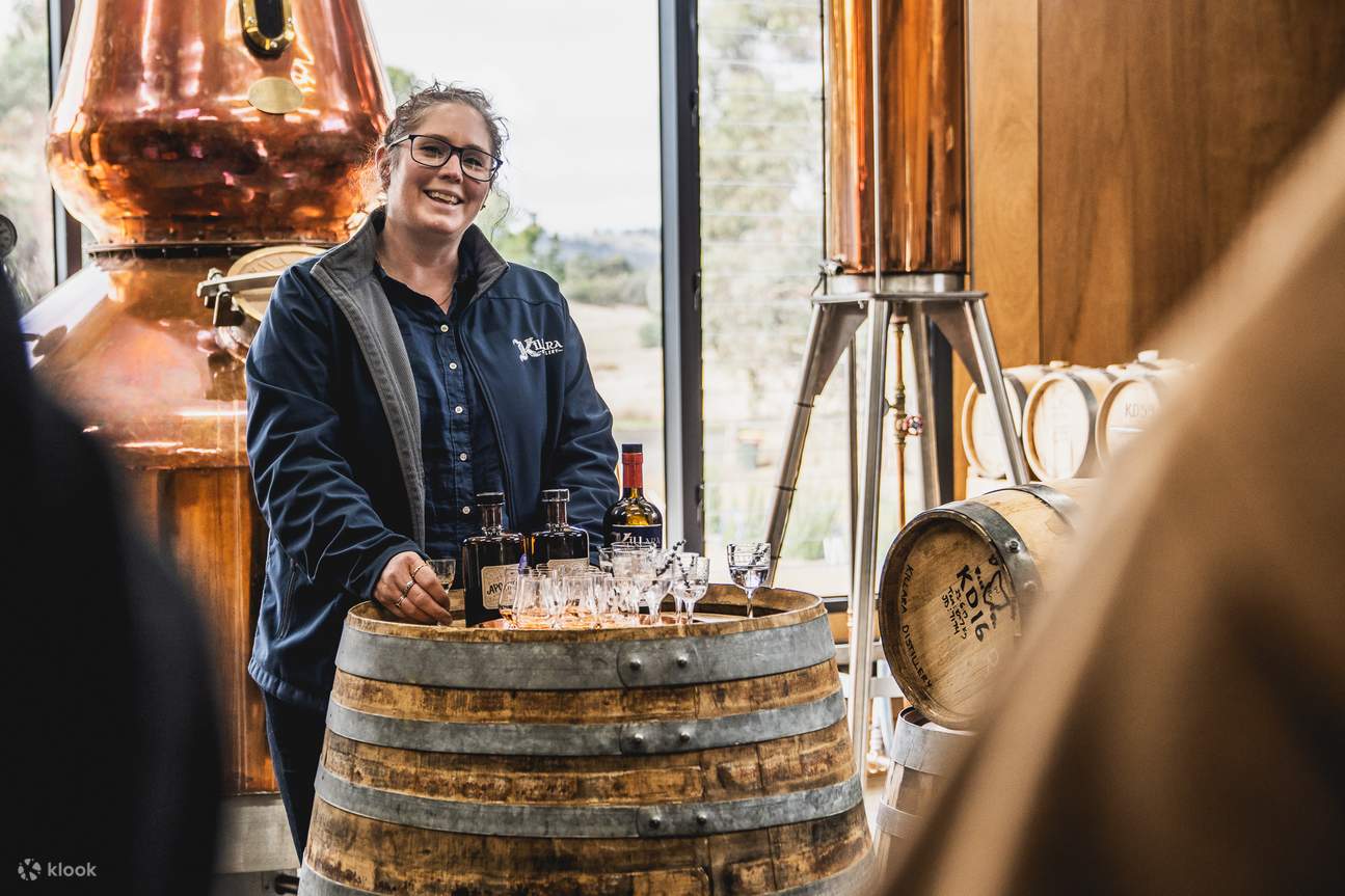 Coal Valley Wine and Gin Safaris from Hobart - Klook New Zealand