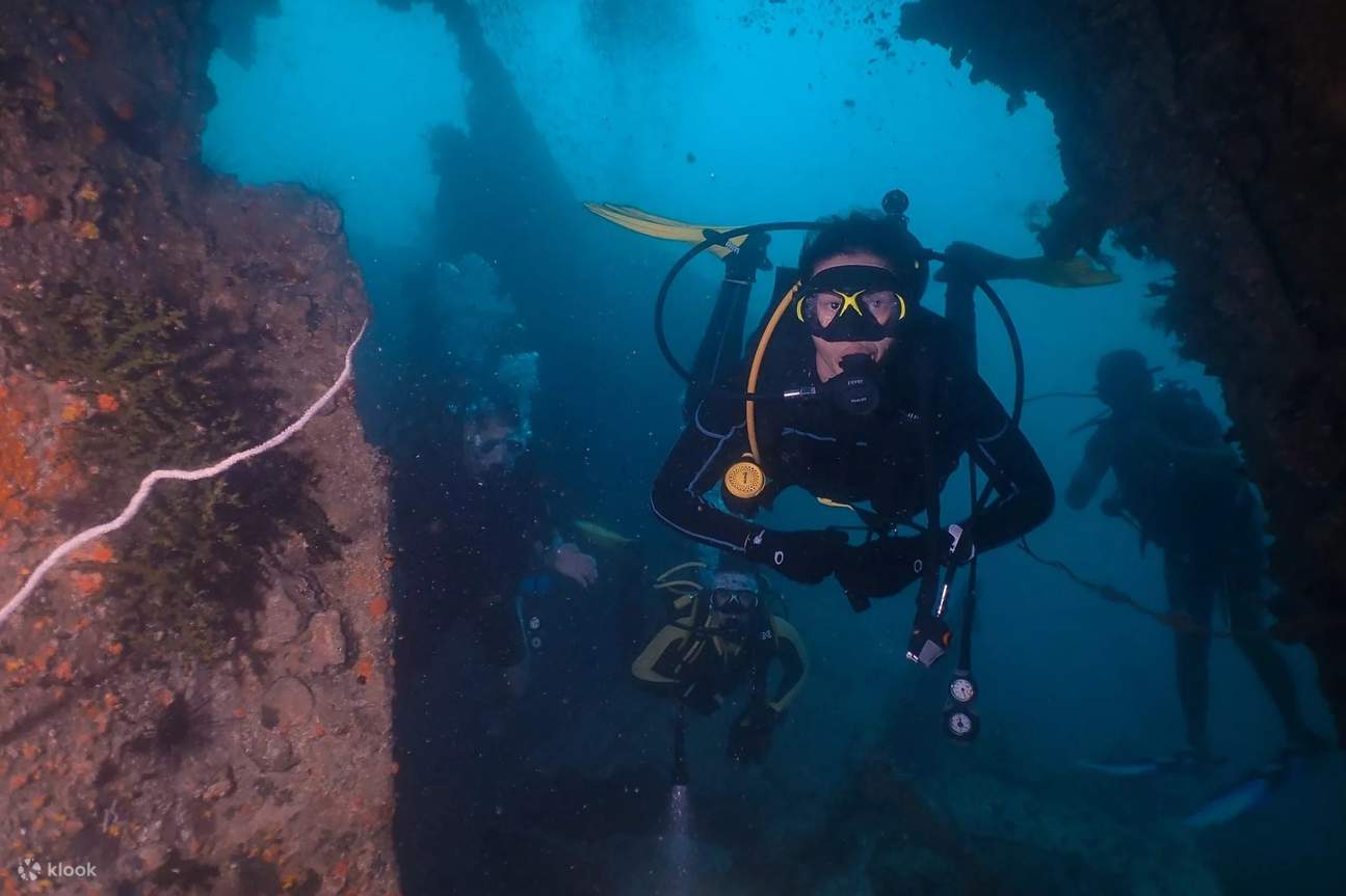 Experience PADI Discover Scuba Diving in Pattaya with a PADI 5 Star ...