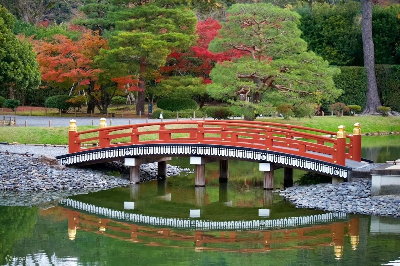 [One-day tour of Kyoto, Nara, and Uji] Nara Park's cute deer, Fushimi ...