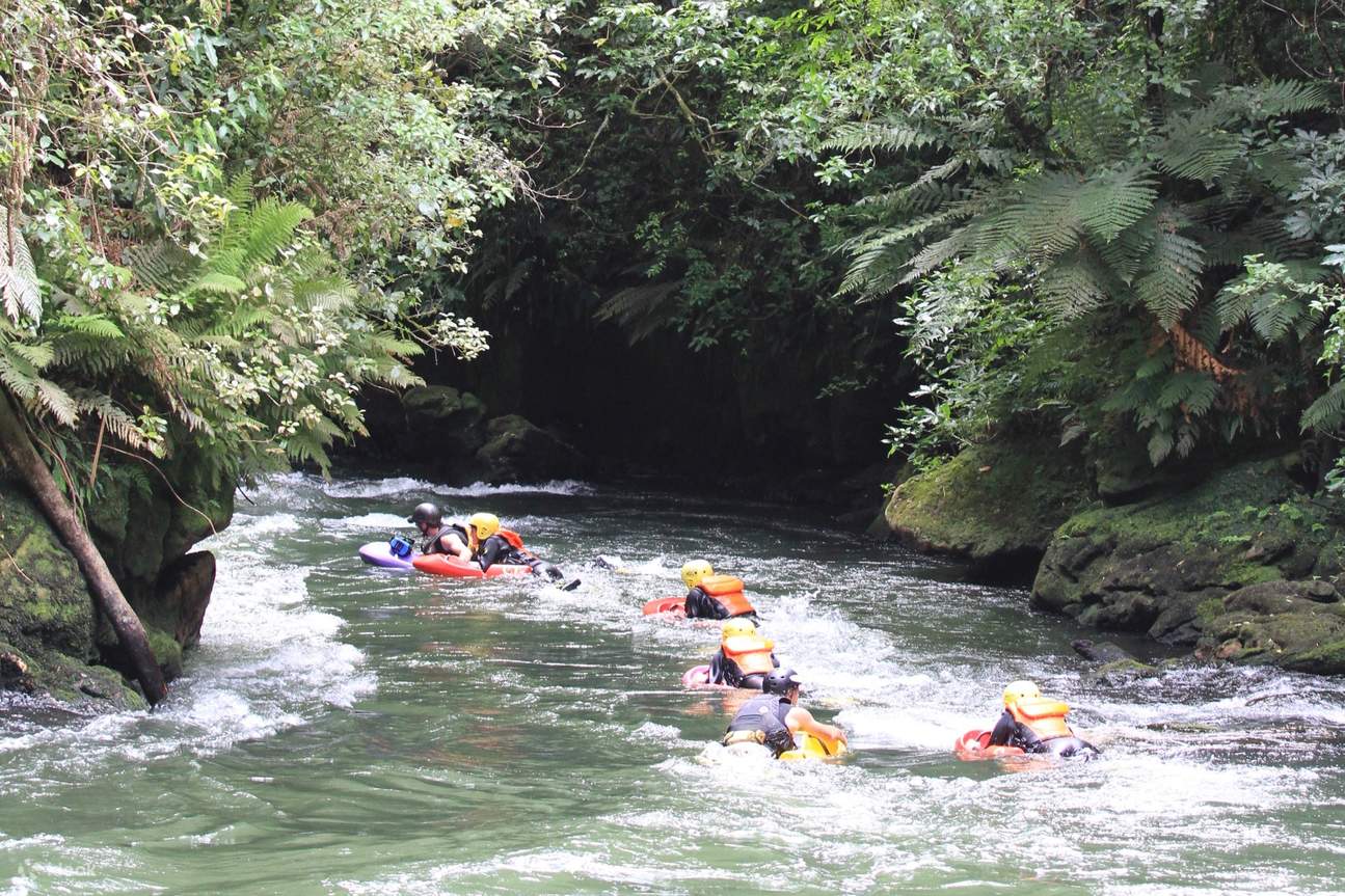 Kaituna River Sledging Experience - Klook