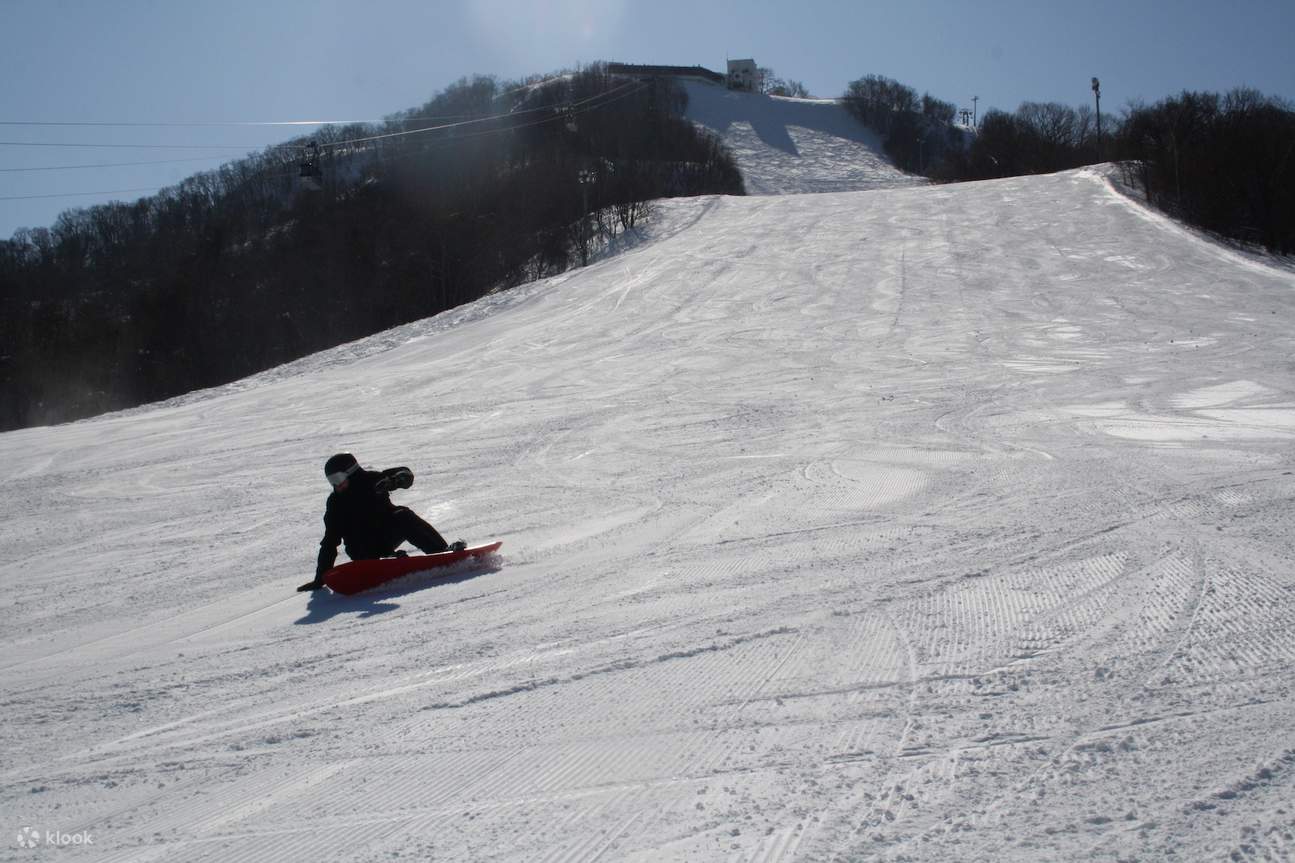 Private English-Speaking Snowboard lesson in Kiroro - Klook India