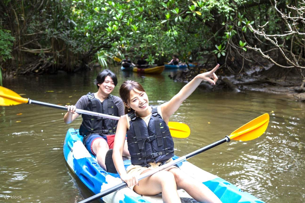 Iriomote Island Barasu Island Snorkeling & SUP o Canoa tra le Mangrovie ...