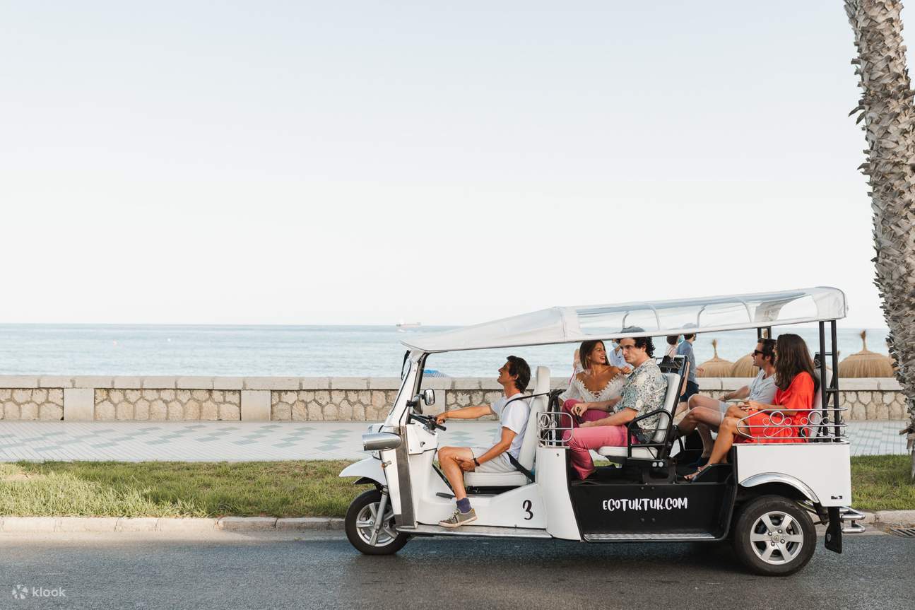 Private Eco Tuk Tuk Tour in Malaga - Klook