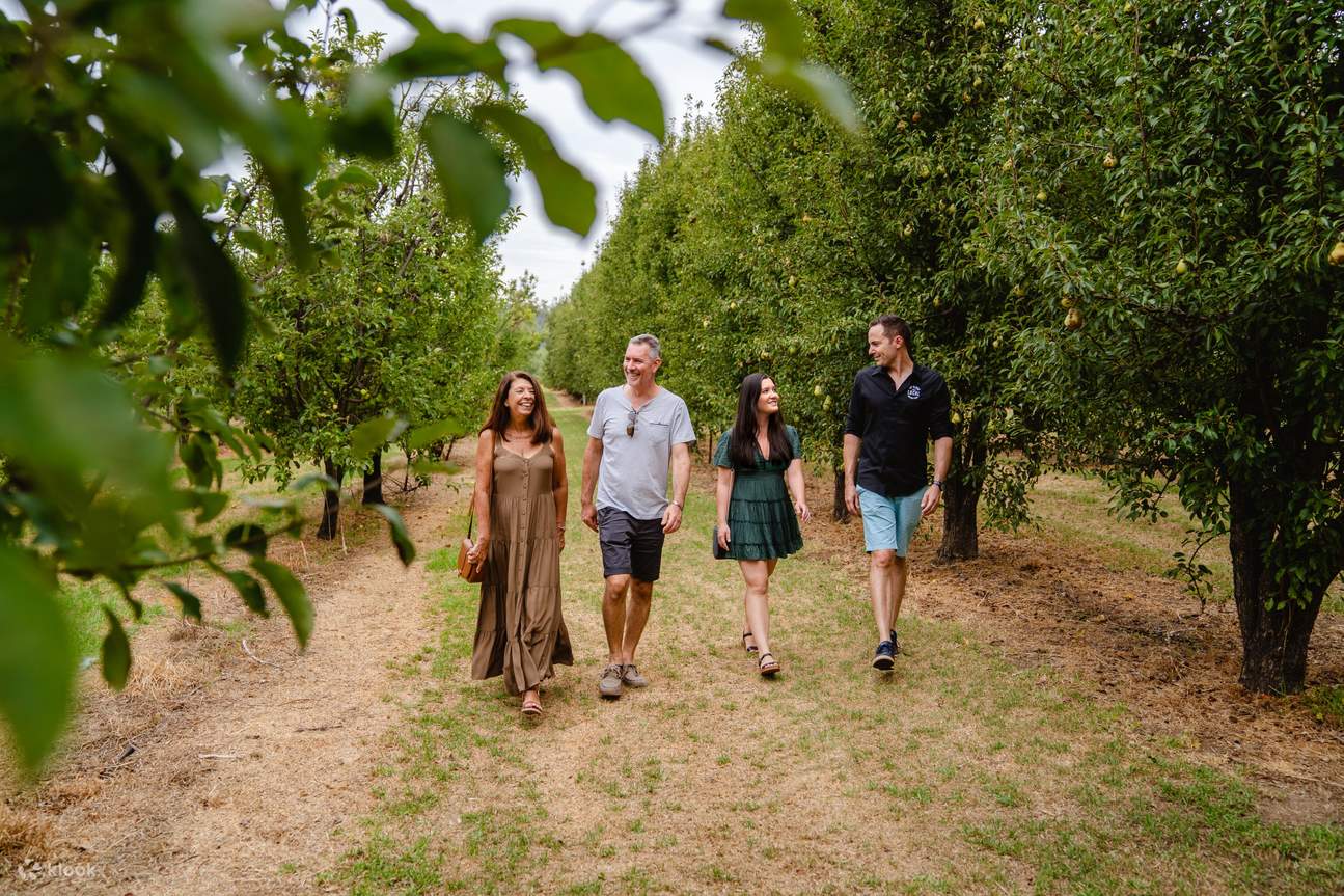 Lawatan Peribadi Bickley Valley Wine - Klook Amerika Syarikat
