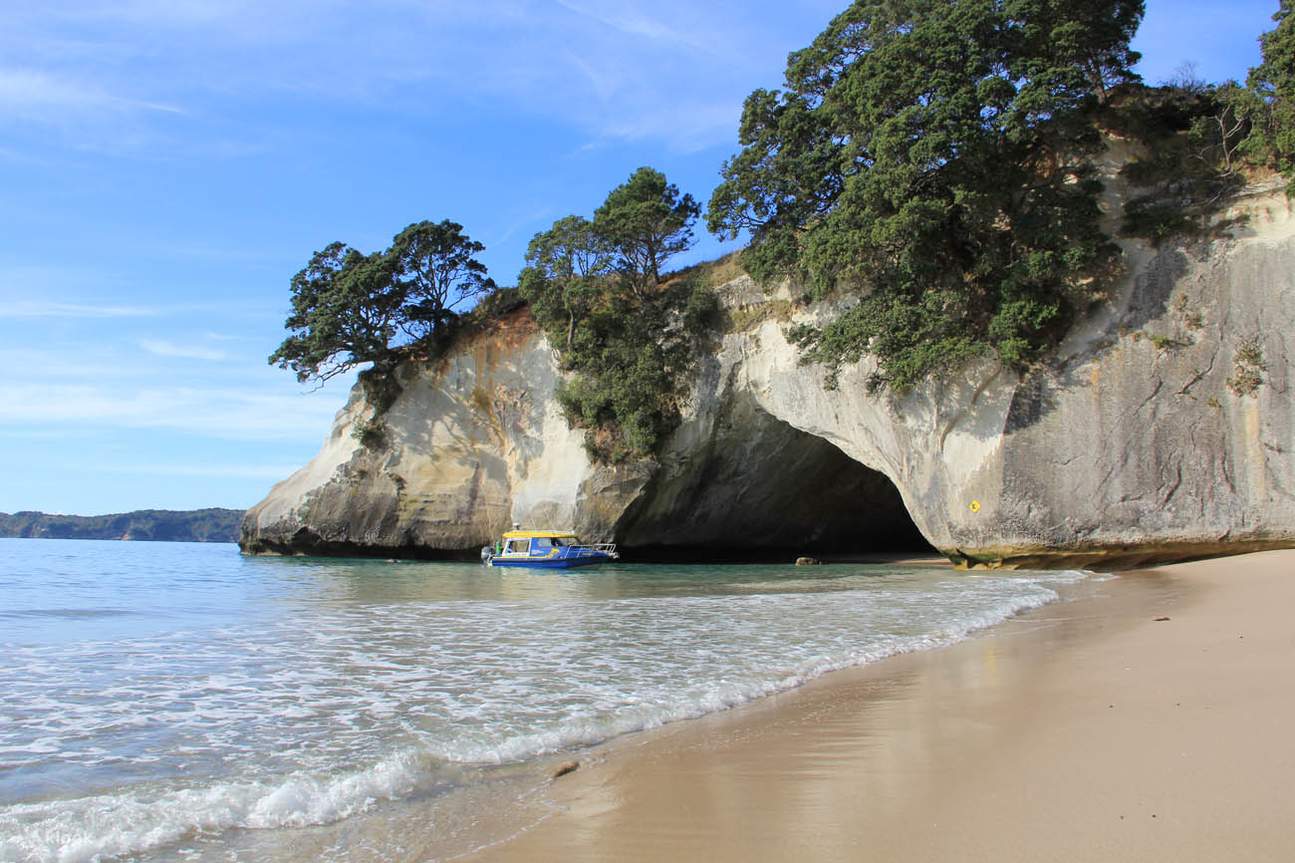 Summer Coromandel Day Tour From Auckland - Klook