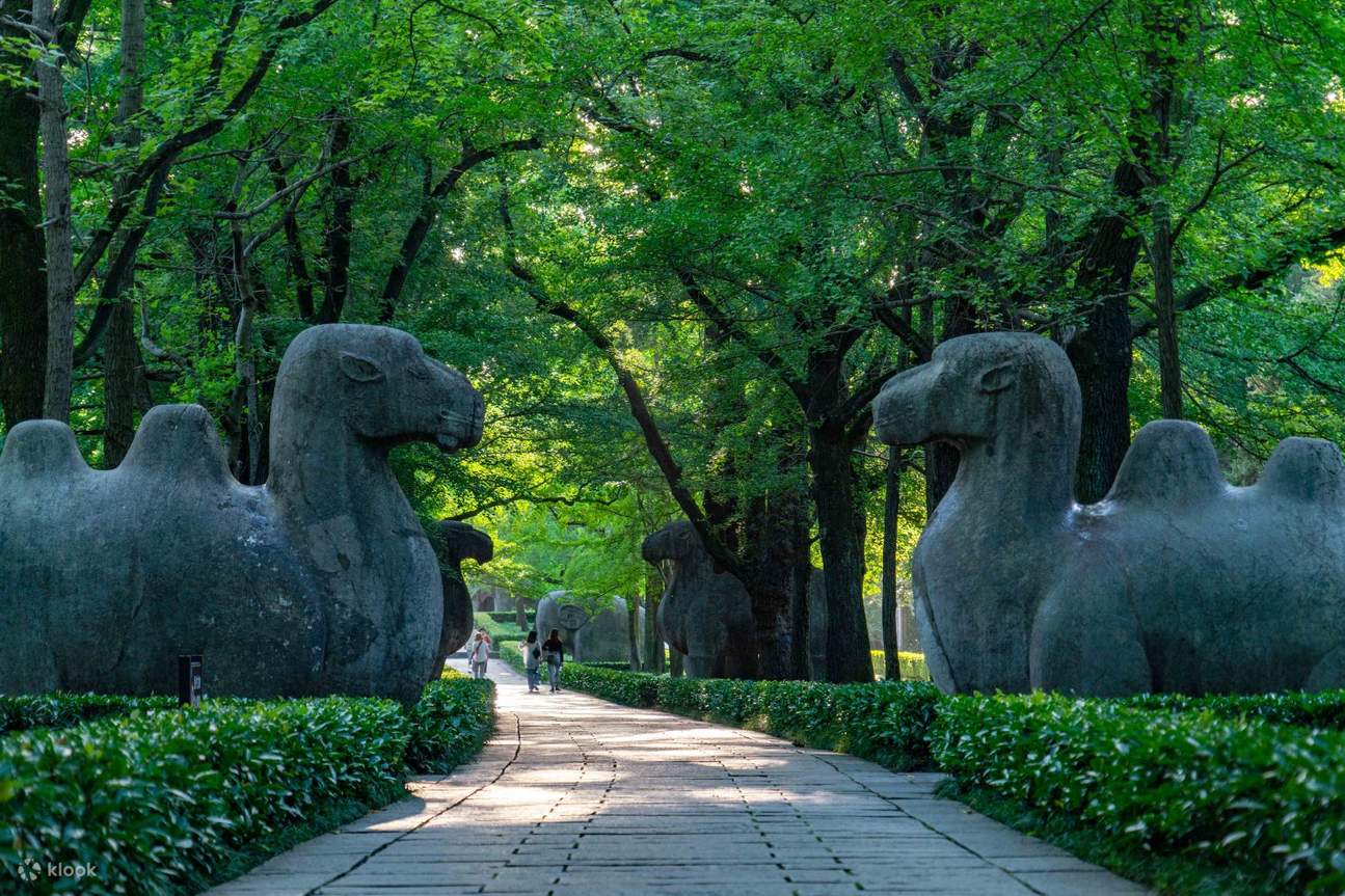 One-Day Private Tour of Nanjing Ming Xiaoling Mausoleum, Meiling Palace ...
