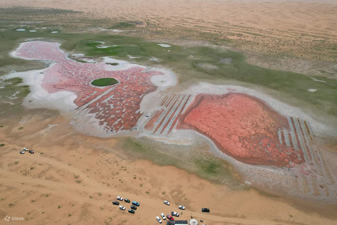 Ningxia Tengger Desert Five Lakes 4-day Tour (Desert Starry Sky Camping ...