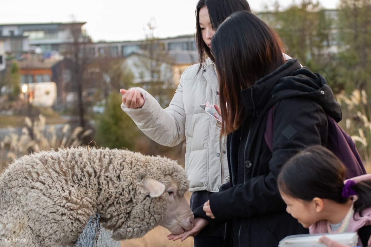 Lake Tekapo Farm Tour - Klook Singapore
