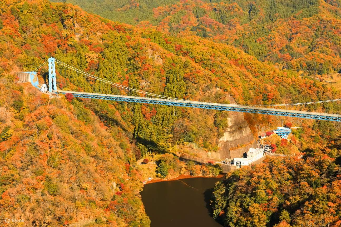 Ibaraki Fall Foliage Tour: Bagoda Falls & Ryujin Suspension Bridge Day ...
