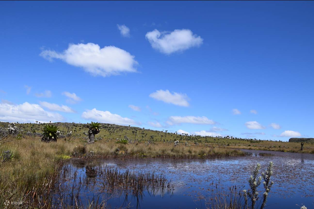 Discover Nature's Magic: One-Day Hike to the Enchanting Seven Ponds of ...