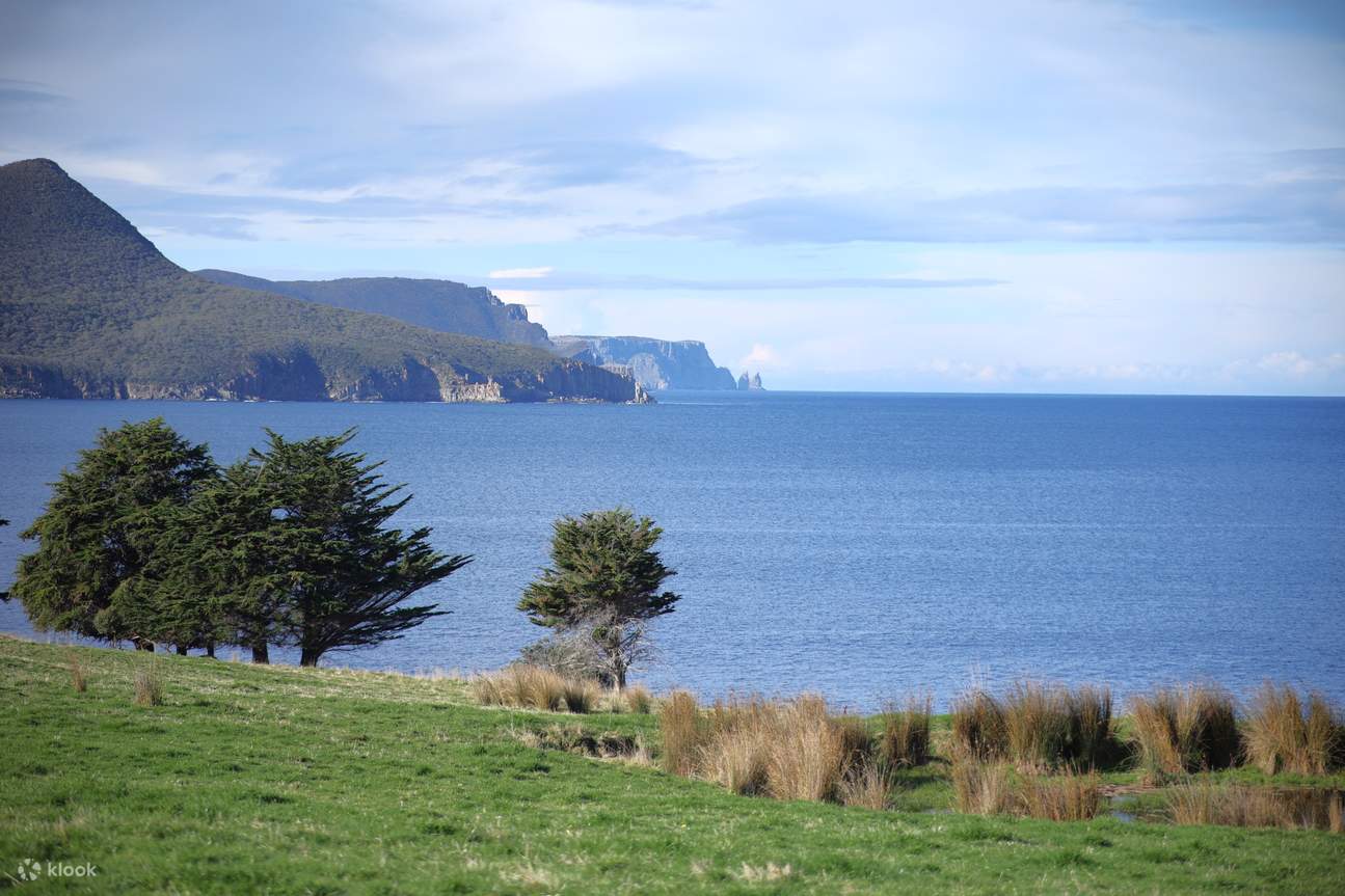 Tasmania - Tasman Peninsula Day Tour/Departs Daily from Hobart - Klook