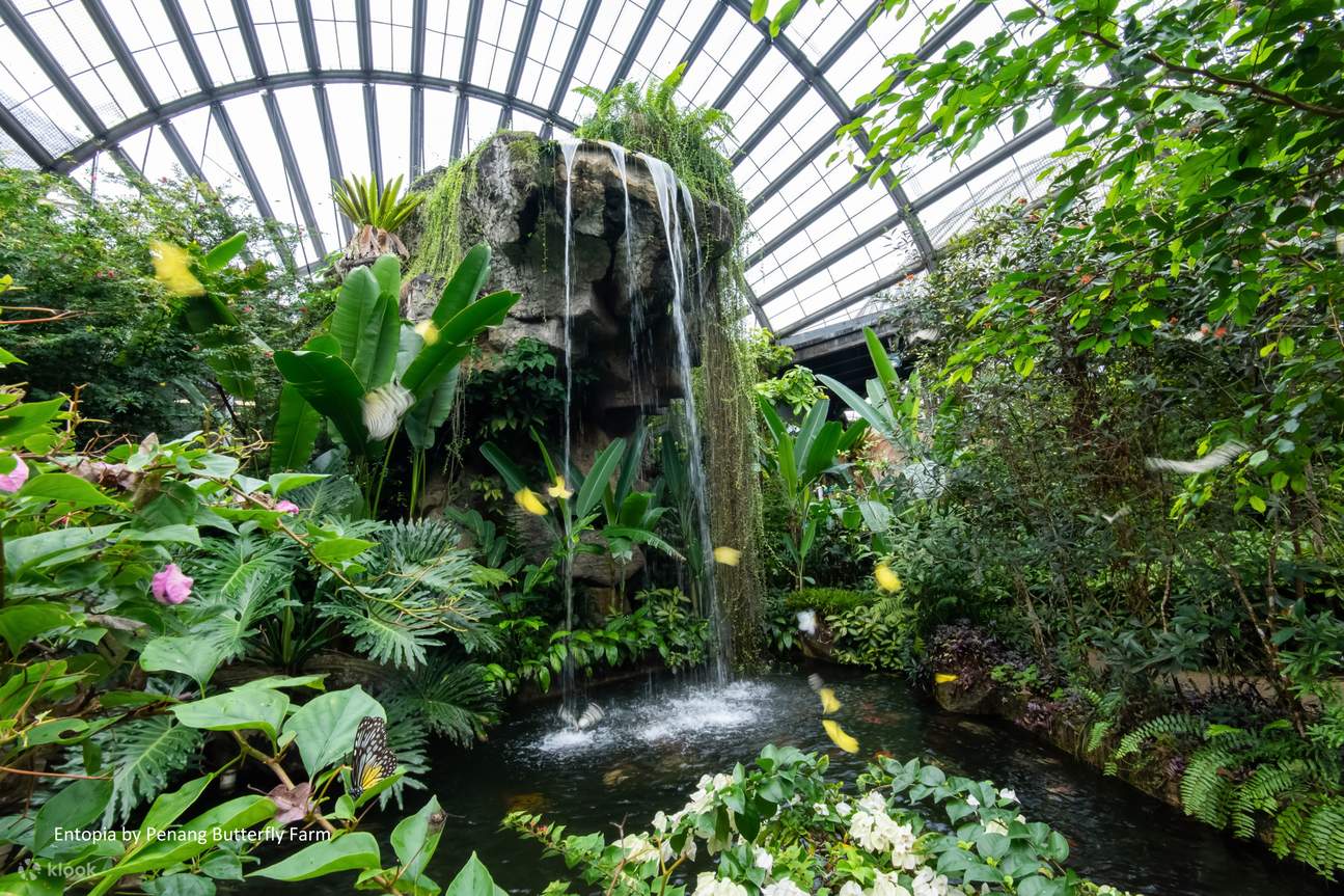 สวนผีเสื้อเอ็นโทเปีย (Entopia Butterfly Park) ปีนัง (Penang) ประเทศ ...