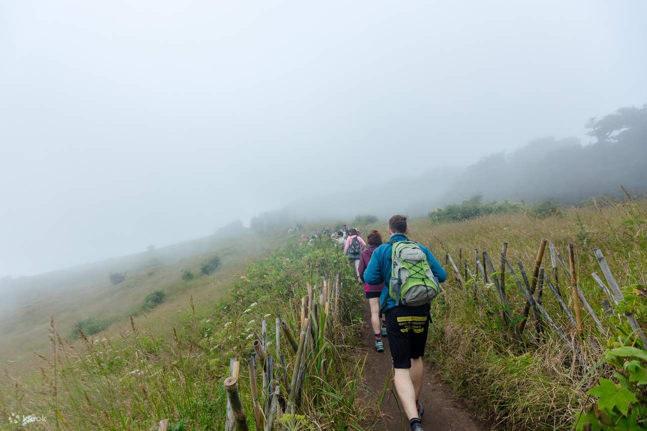 Chiang Mai: Kew Mae Pan Nature Trail & Doi Inthanon Day Trip - Klook