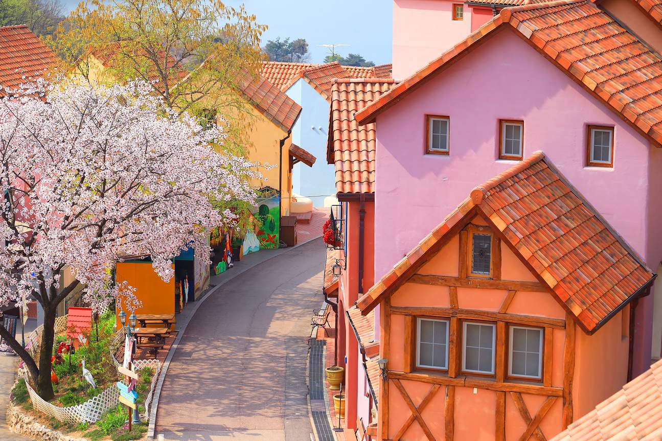Nami Island Customizable Private Day Tour from Seoul - Klook Hong Kong