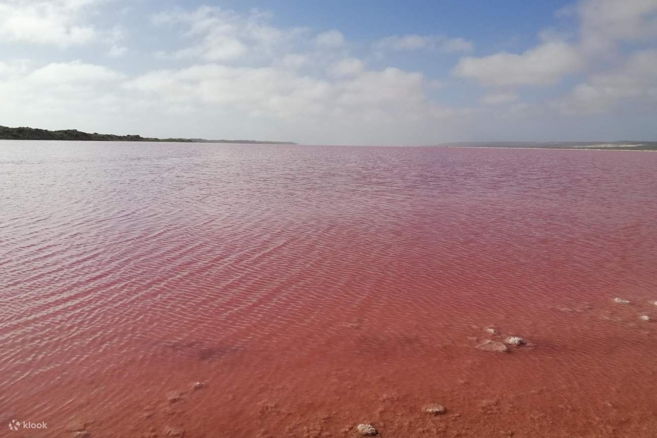 2 Day Pink Lake and Kalbarri Tour - Klook