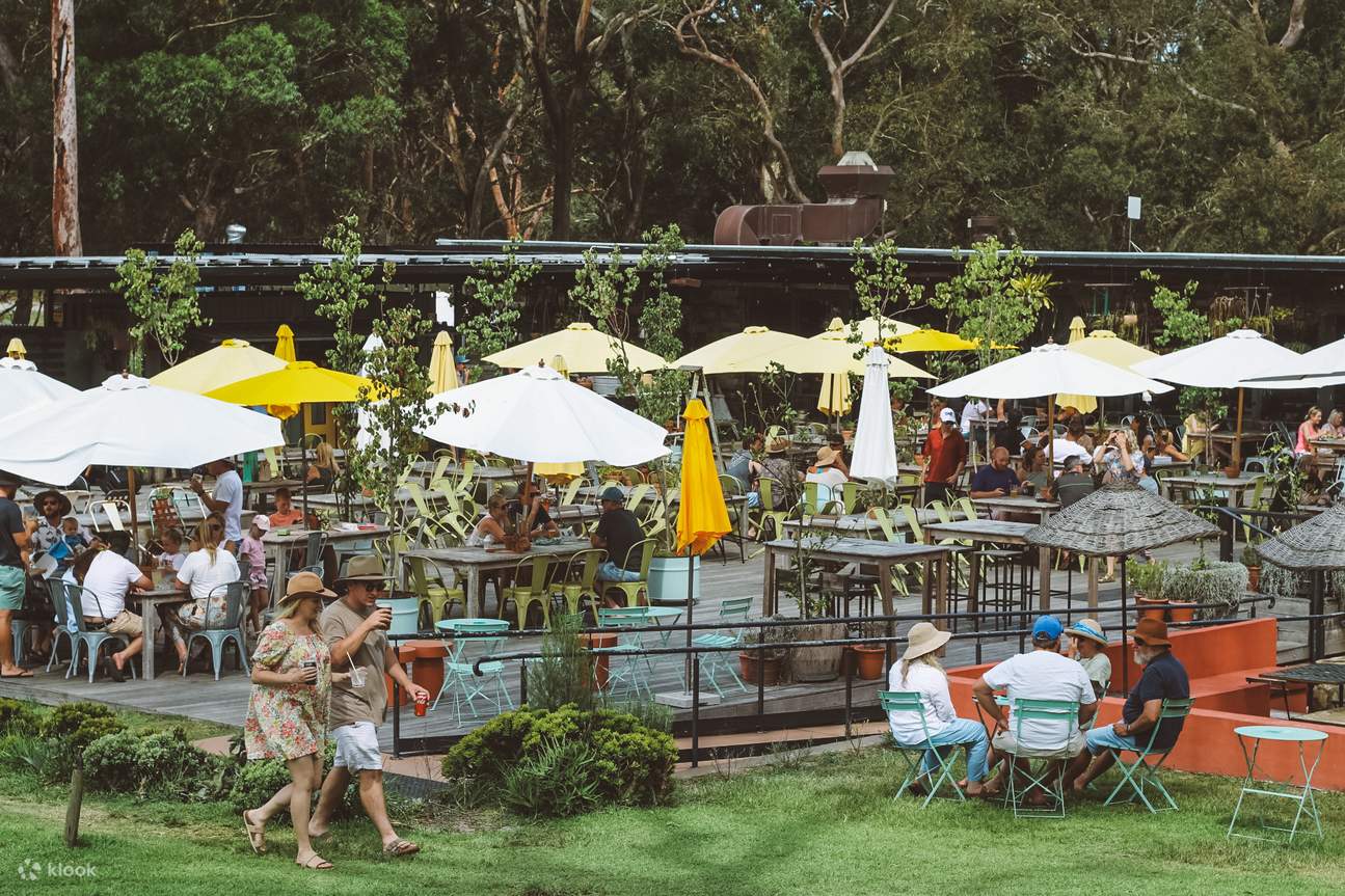 Port Stephens Day Tour from Newcastle - Klook