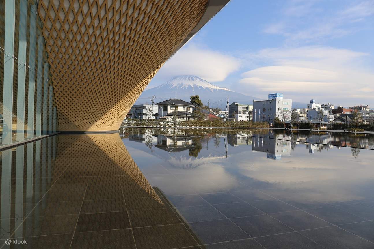 Mt. Fuji Charter Flight with Heritage Center & Shimizu Port Gourmet ...