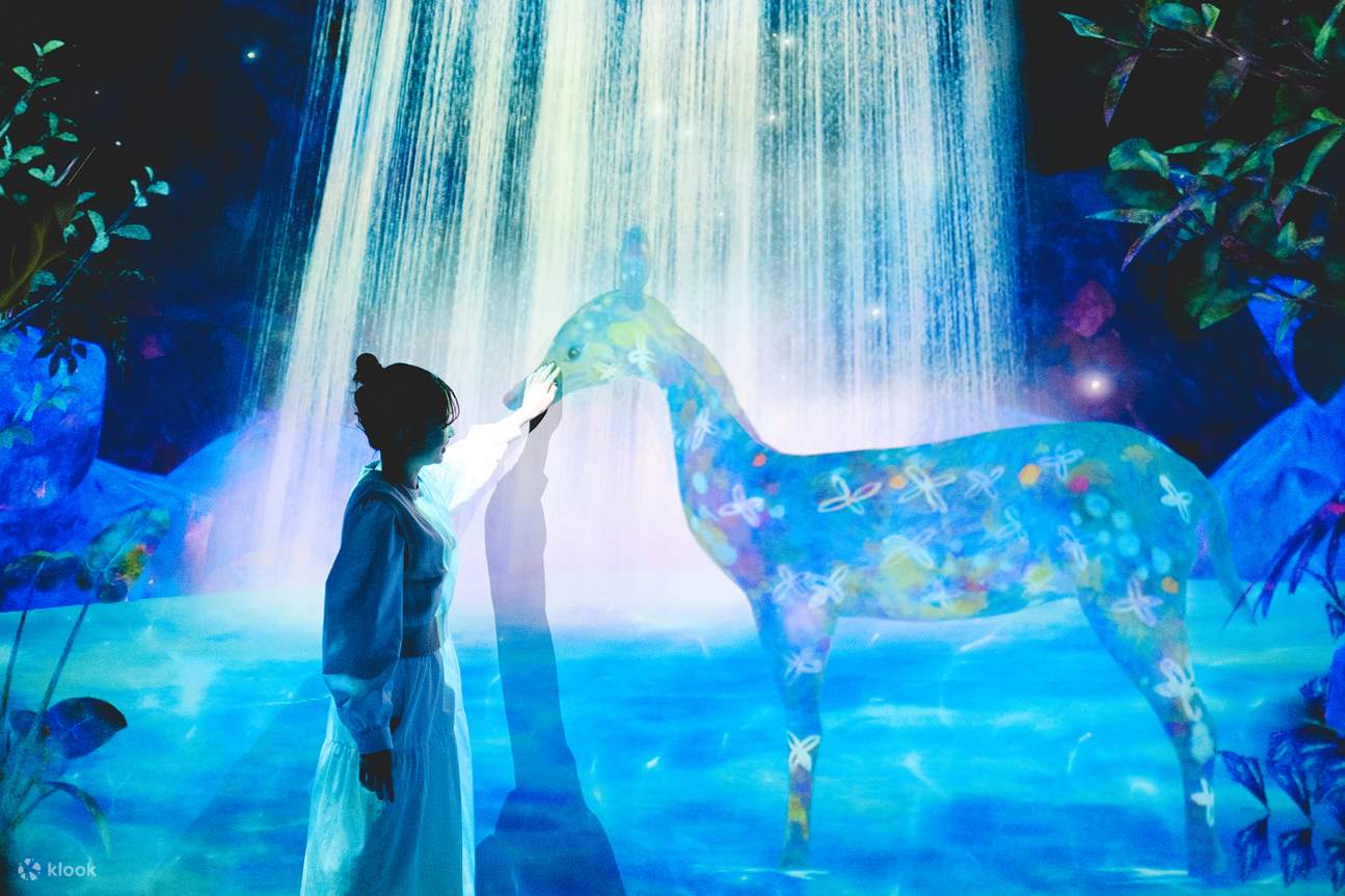 預訂E・ZO 福岡teamLab森林美術館門票， - Klook香港