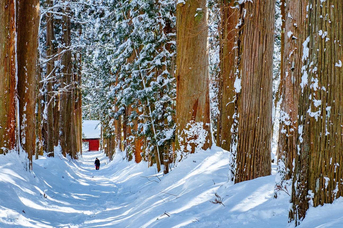 Nagano: Iiyama Snow House Village & Jigokudani Snow Monkey Park ...