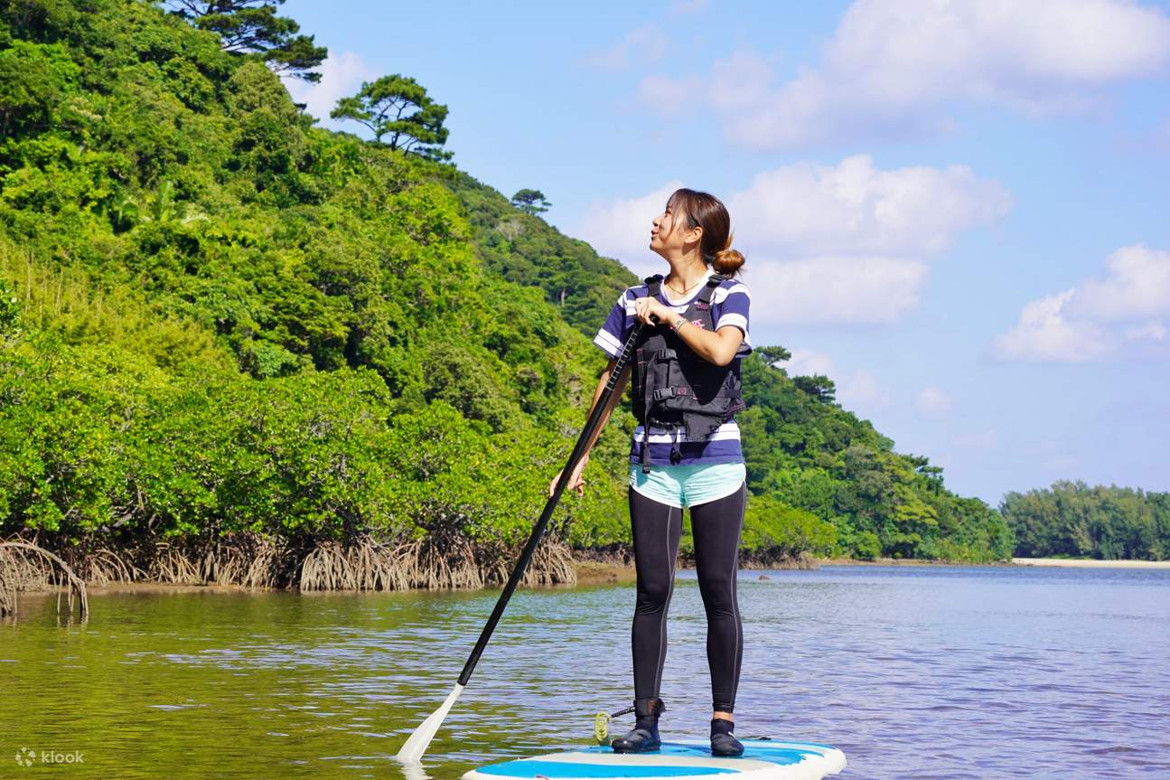 Iriomote Island Barasu Island Snorkeling & SUP o Canoa tra le Mangrovie ...