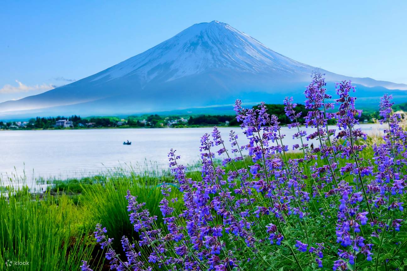 10 Day Japan Private Tour Unveiling Maximum Attractions - Klook United ...