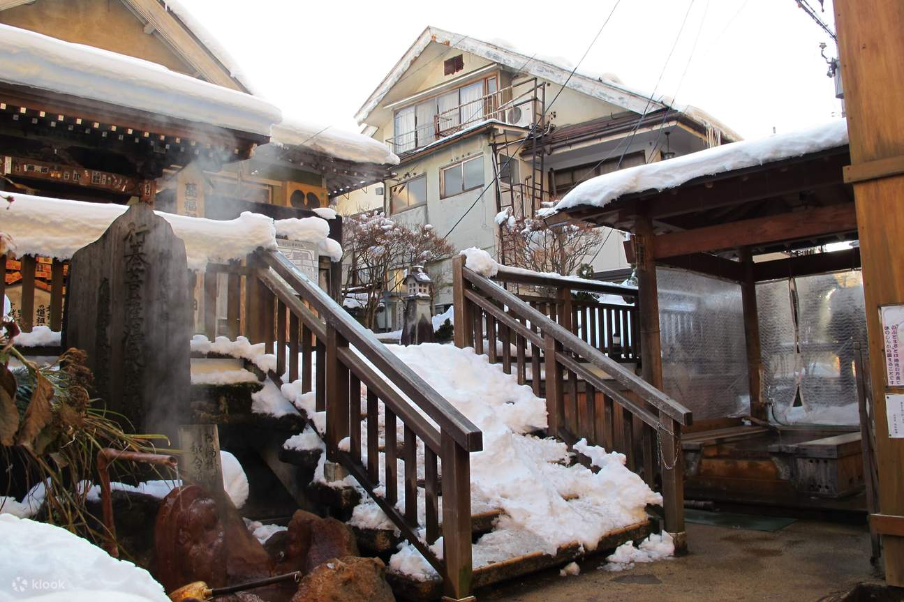 Snow Monkey & Shibu Onsen Tour in Nagano (Nozawa Onsen Departure ...