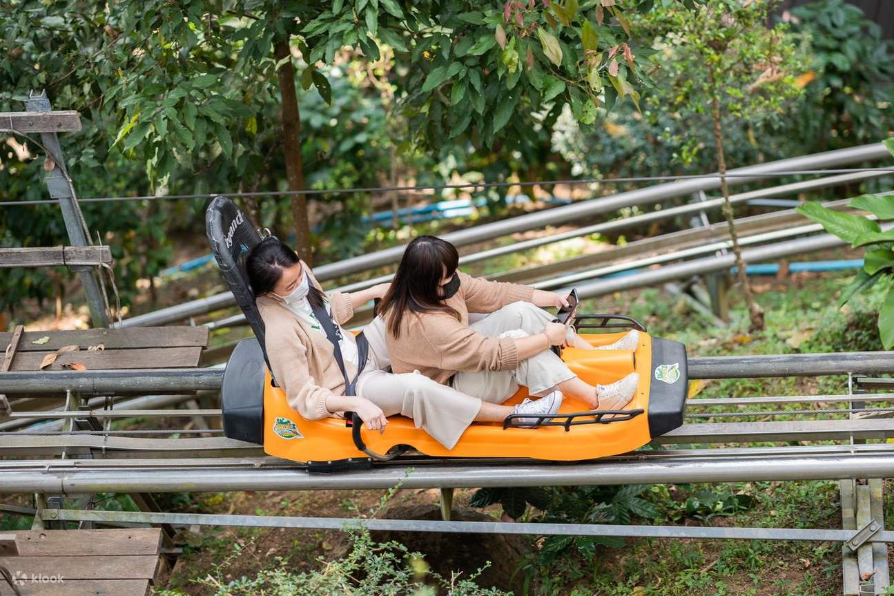 One Day Tour Mae kampong, Mon Jam, Doi Inthanon - Klook