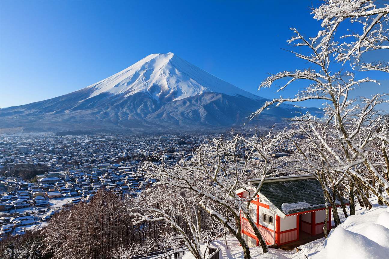Tour panoramico diurno del Monte Fuji - Centro del patrimonio mondiale ...