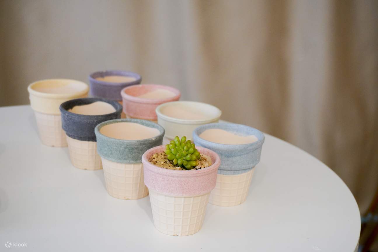 Myosotis.flower - Succulent Plant Potting Workshop - Klook Malaysia