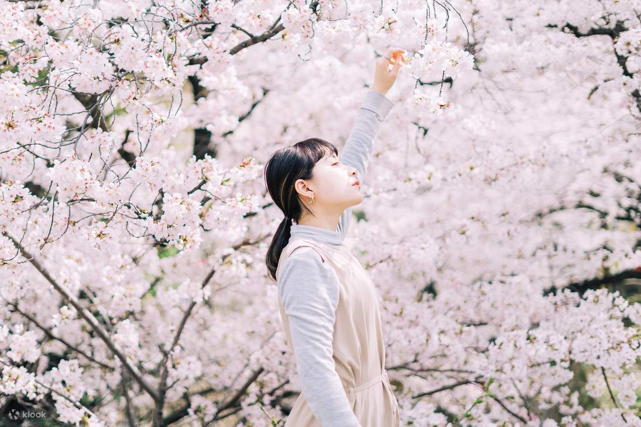 Snapshot photography experience (Okinawa) - Klook