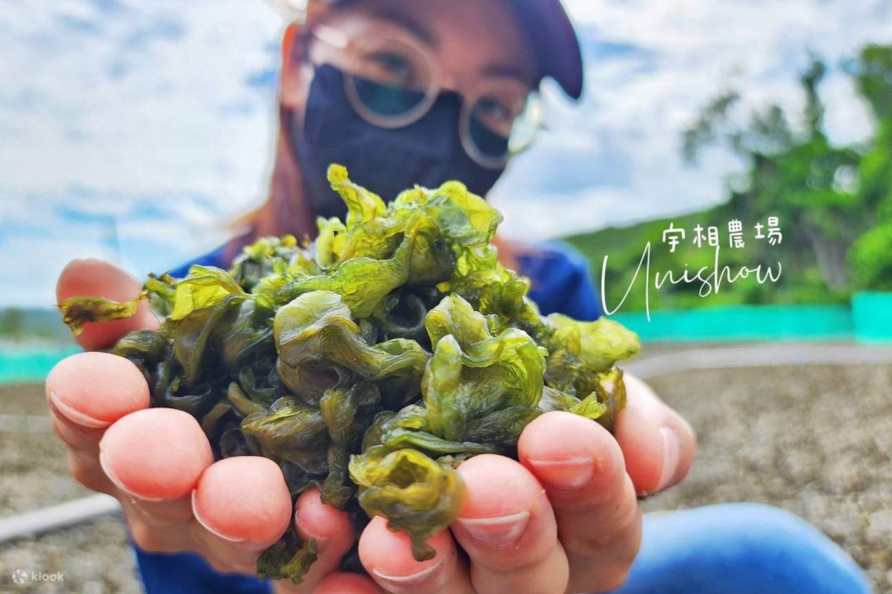 Yulai Mushroom & Algae Harvesting Experience - Klook