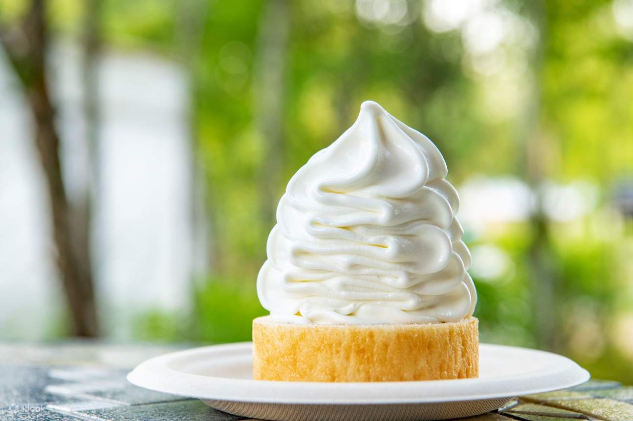 A tour of Aso's two major sightseeing spots, "Mount Aso" and "Aso ...