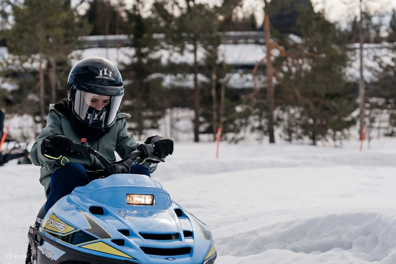 Snowmobile Safari, Reindeer & Husky Sleigh Ride Tour from Rovaniemi - Klook