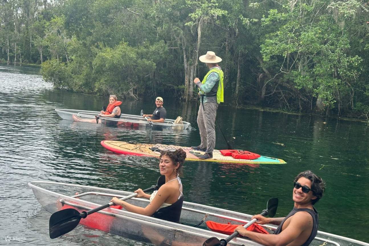 Kayak or Paddle Board Gator Tour in Silver Springs - Klook