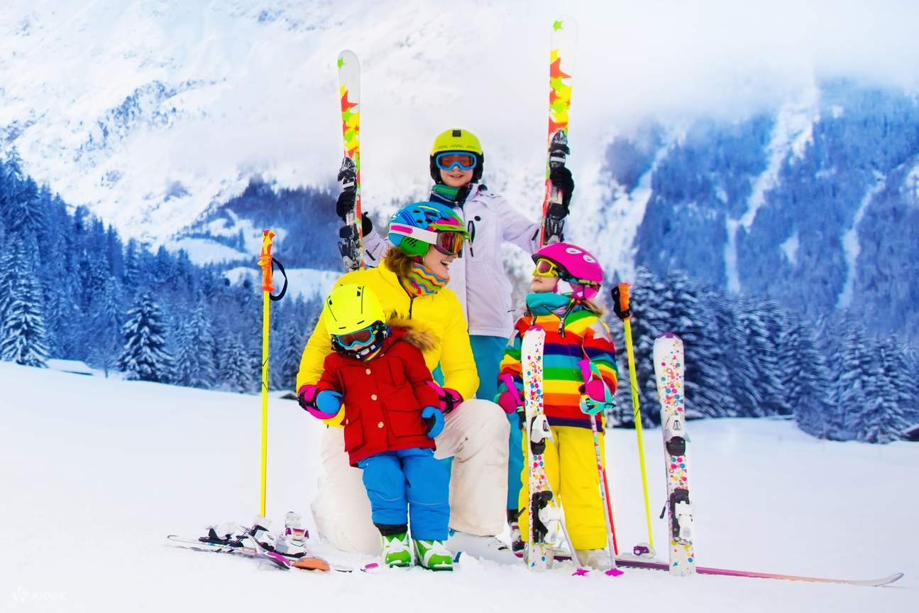 Appi Kogen Ski Resort Private Ski Lesson - Klook New Zealand