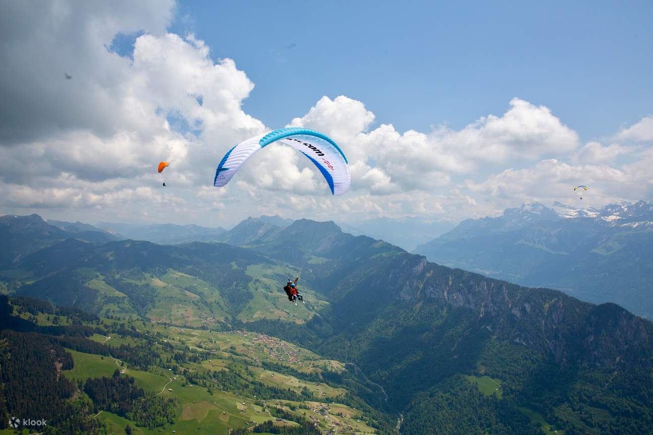 Tandem Paragliding Experience in Interlaken - Klook