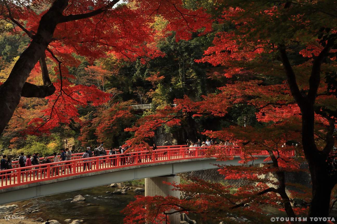 Korankei and Obara Tour with Sakura & Maple Leaves Viewing from Osaka ...