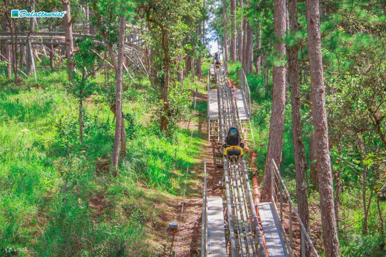 Combo High Rope Course e Datanla New Alpine Coaster a Da Lat - Klook ...