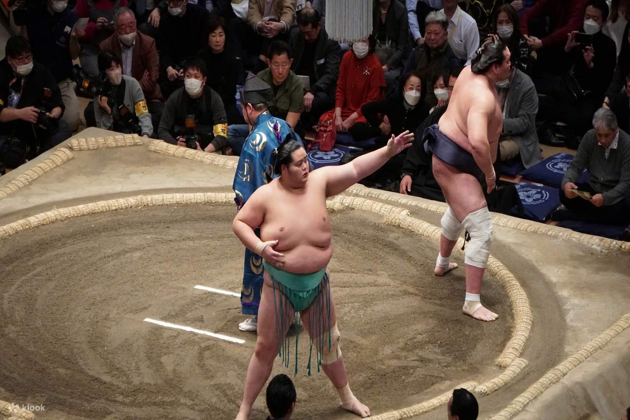 The Tokyo Grand Sumo Tournaments Experience with Local Sumo Expert ...