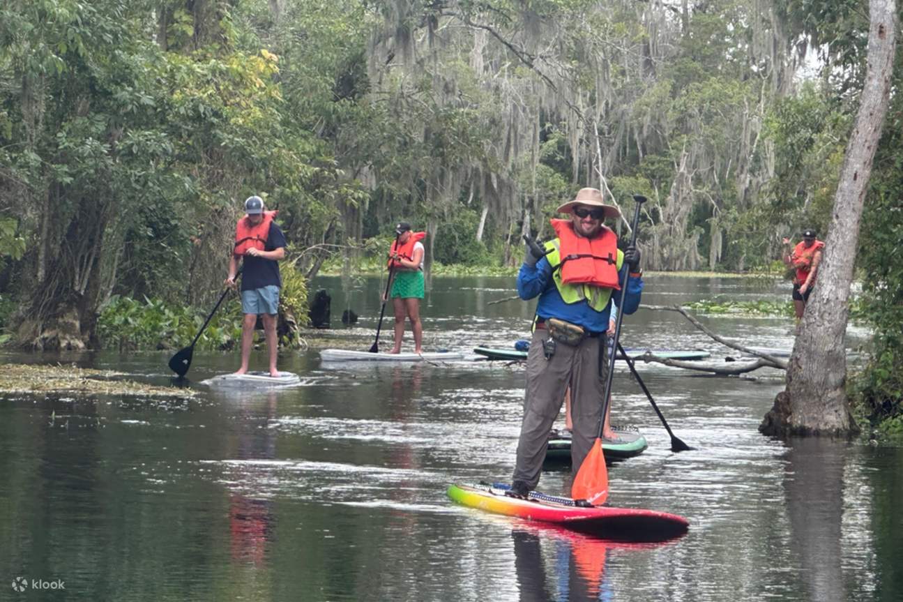 Kayak or Paddle Board Gator Tour in Silver Springs - Klook Malaysia