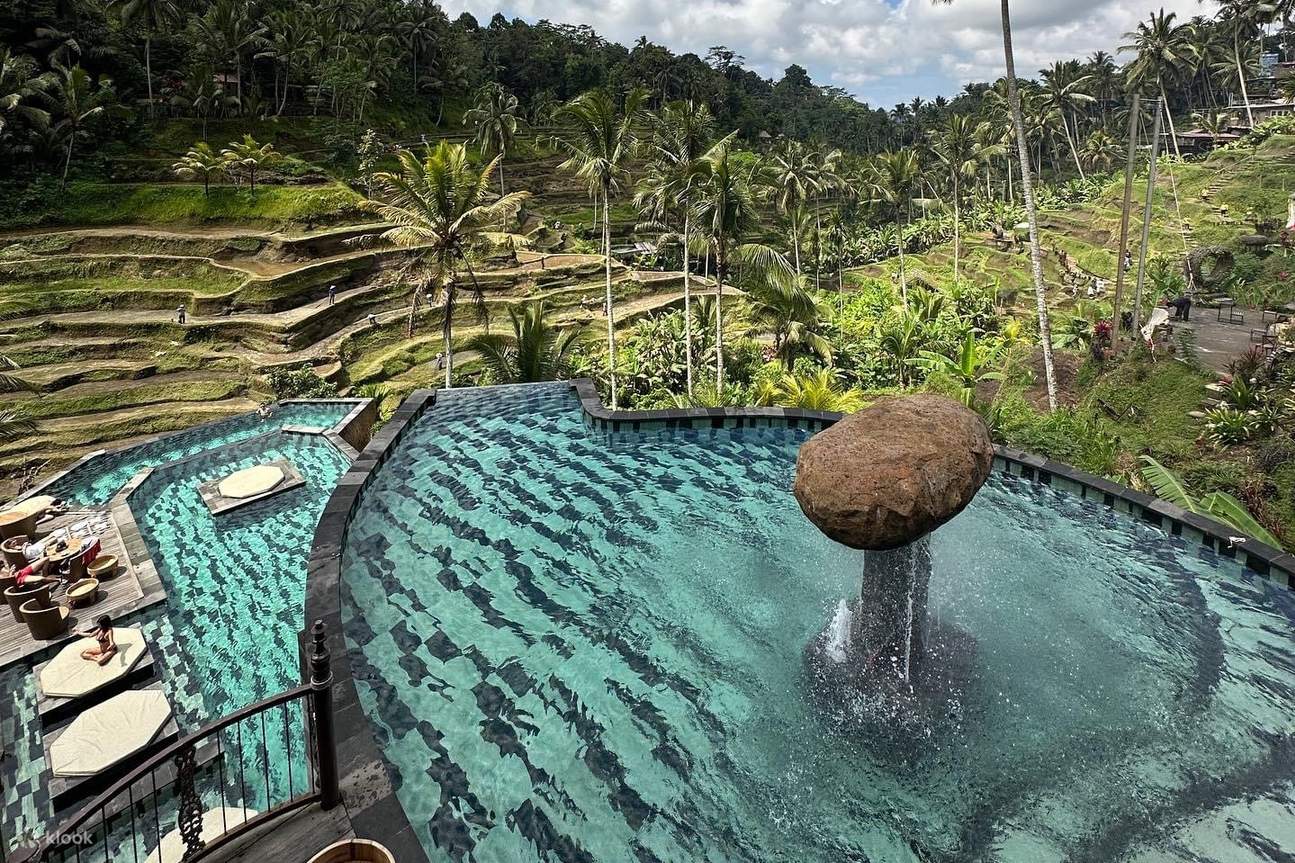 Kafe Ubud, Gunung Batur dan Teres Padi Tegallalang Lawatan Sehari ...