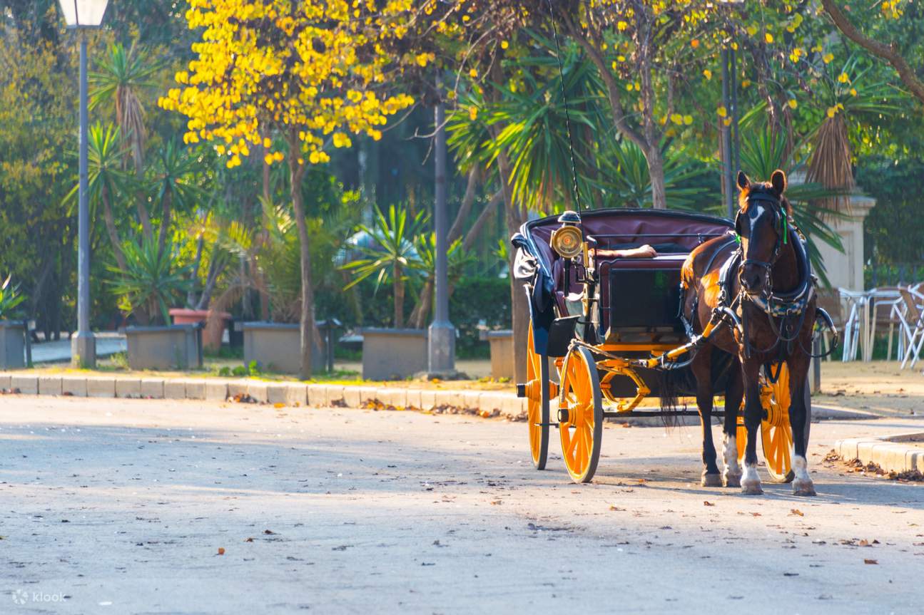Horse Carriage Sightseeing Ride in Seville - Klook