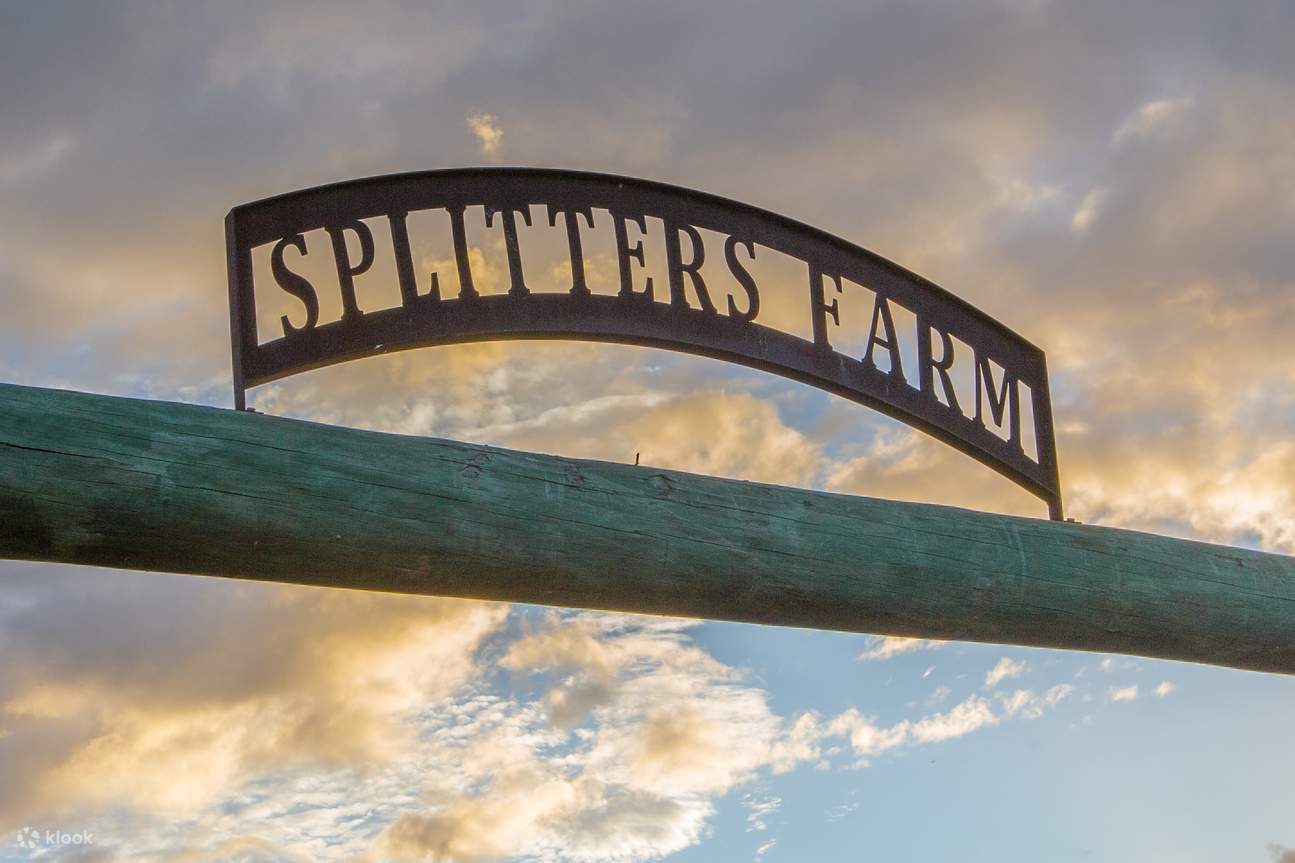 Splitters Farm Entry Ticket in Bundaberg - Klook
