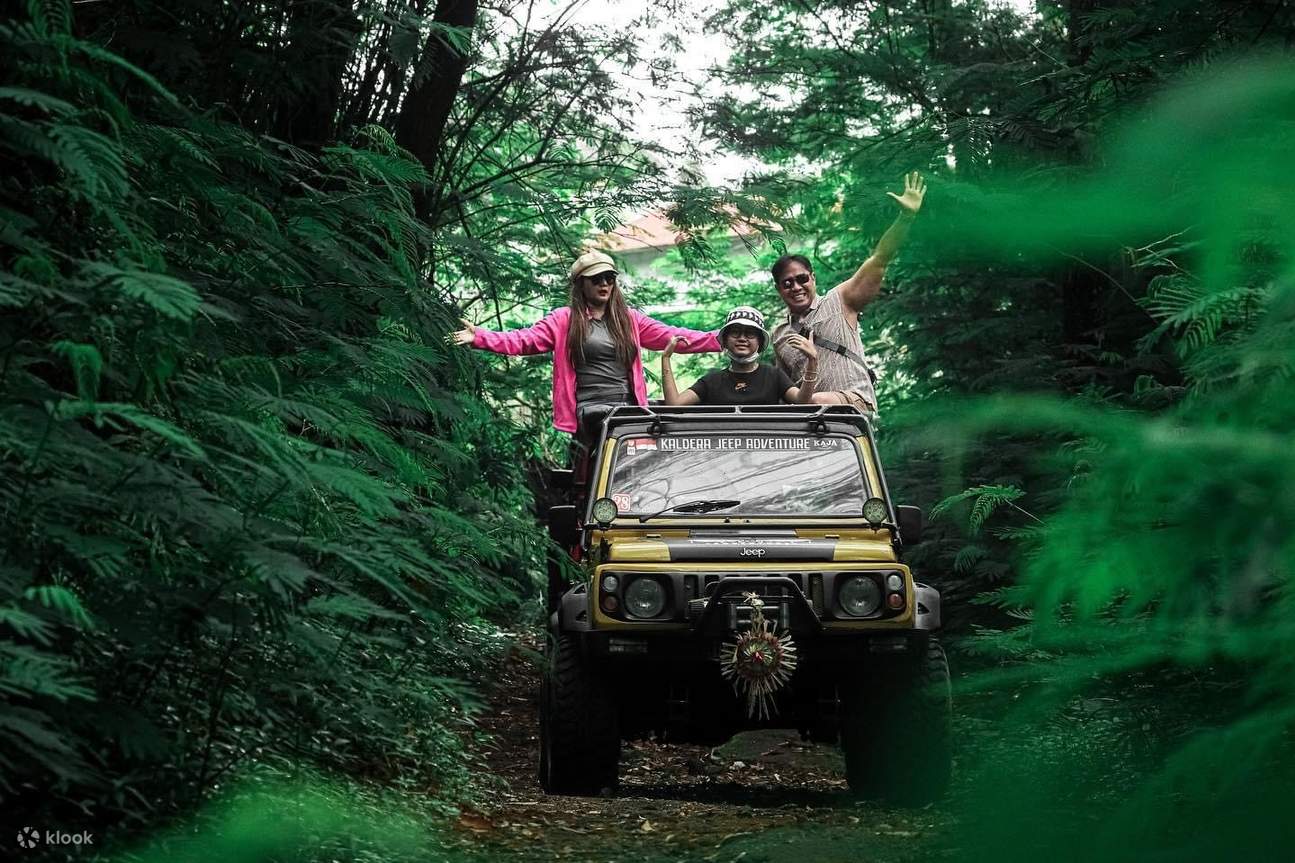 Hutan Pinus (Pine Forest) Kintamani Off Road Jeep Trail Day Tour - Klook