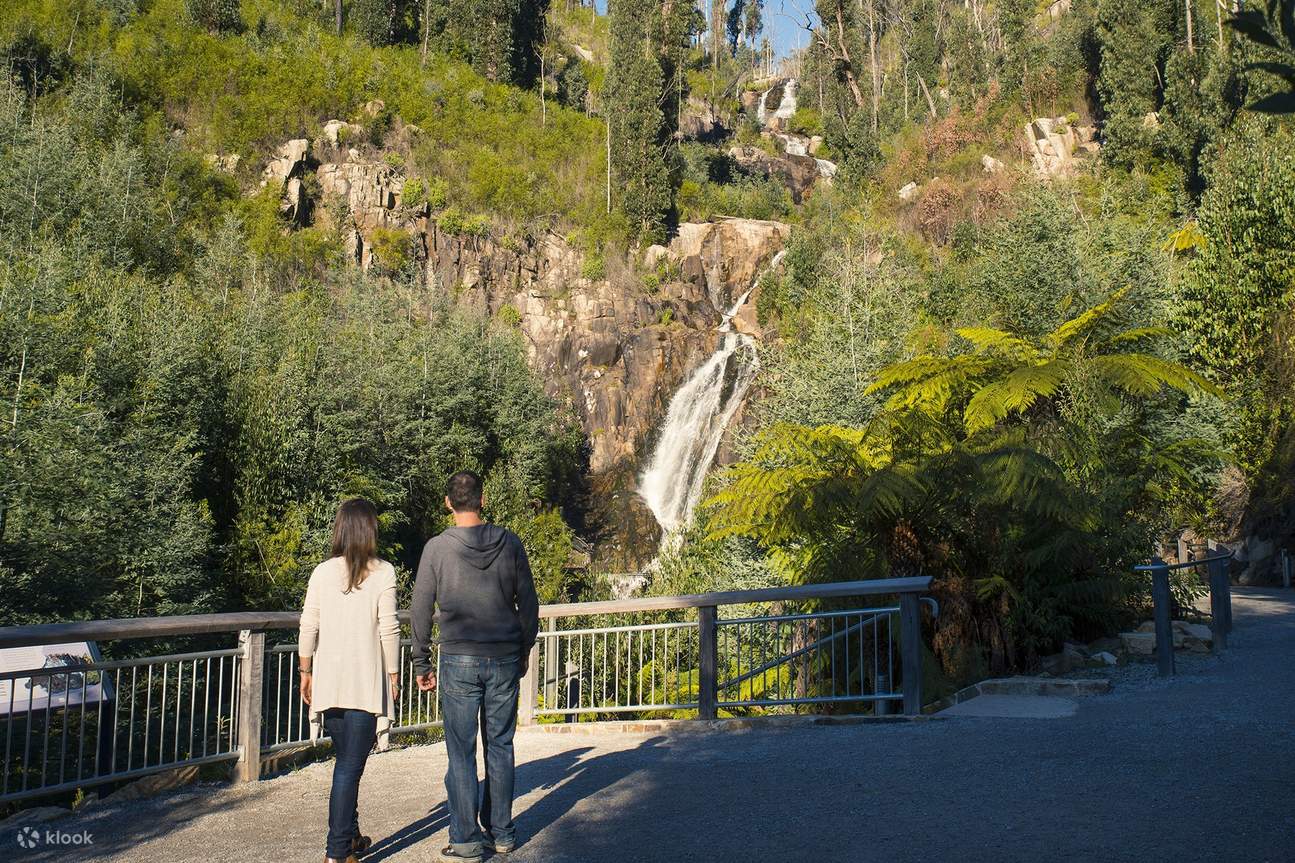 Lake Mountain Snow, Waterfall & Chocolate Day Tour dari Melbourne ...