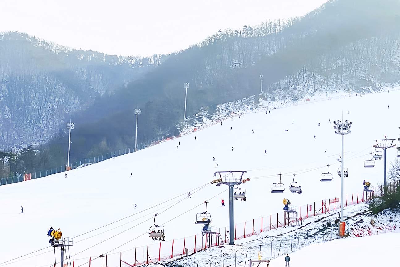 Tur Sehari Ski Resor Hutan Jisan x Snowboard - Klook Indonesia