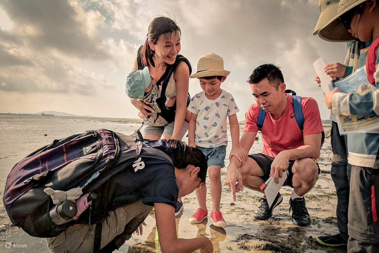 Unravelling Wildlife Mysteries Nature Walk Experience in Singapore - Klook