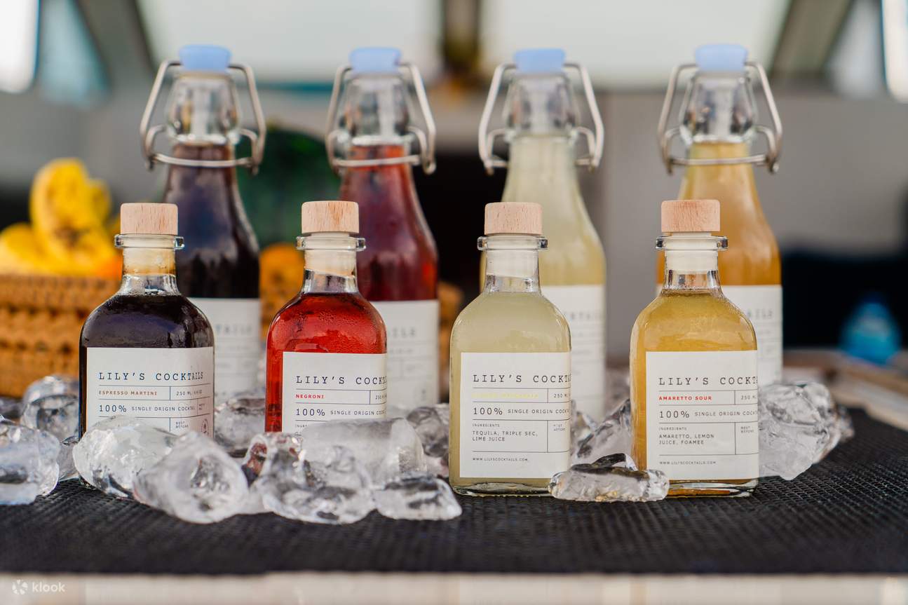 Tour tham quan bằng tàu cao tốc Nusa Penida trong ngày và lặn biển ngắm cá đuối Manta - Klook ...