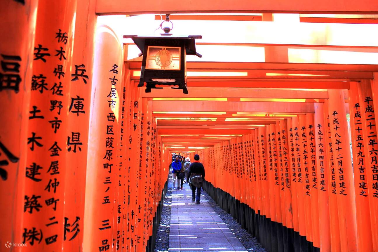 Kiyomizu-dera, Fushimi Inari Shrine, and Nara Park One Day Walking Tour ...