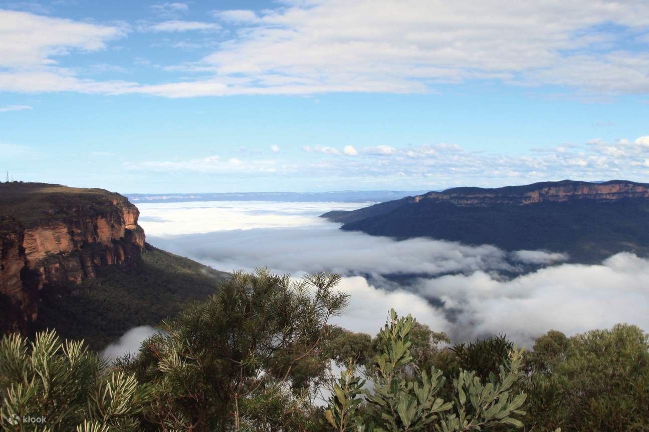 Blue Mountains All-Inclusive Signature Day Tour - Klook